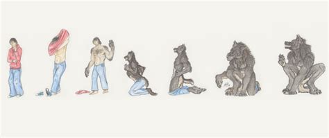 Silverwerewolf09 Transformation Full Sequence By Kigai Holt On Deviantart