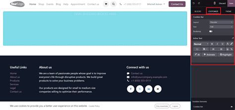 How To Manage Customer Accounts In Odoo 17 Website