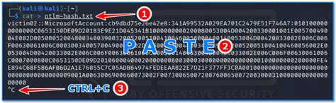 Lab 45 Capturing Password Hashes With Responder