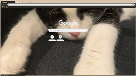 Cat Chrome Theme Themebeta