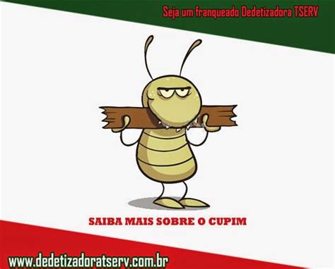 Saiba Mais Sobre O Cupim Artofit