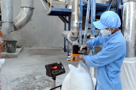 Buy Native Tapioca Cassava Starch From Pt Kertagemilang Surya