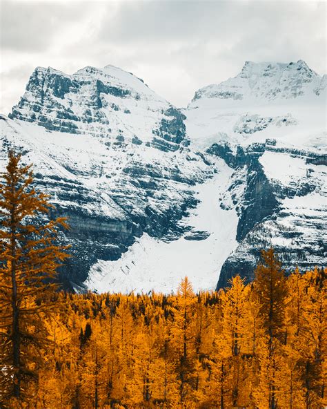 What To Do In Banff This Fall Season A Foliage Guide Dani The Explorer
