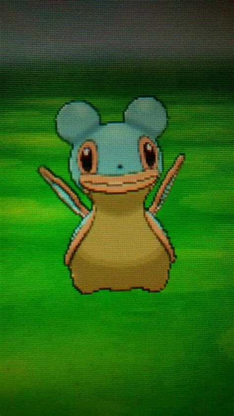 Shellos Wiki Pokémon Amino