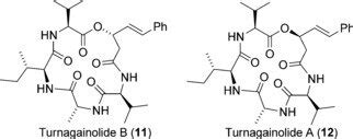 The Aminosteroid Ship1 Inhibitor 3ac 16 Download Scientific Diagram