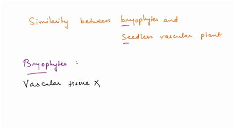SOLVED Bryophytes Form A Monophyletic Group That Transitions Between Green Algae And Vascular