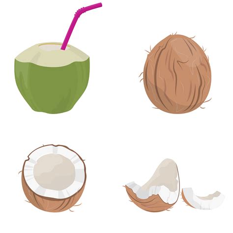 Set Of Coconut Elements 1314194 Vector Art At Vecteezy