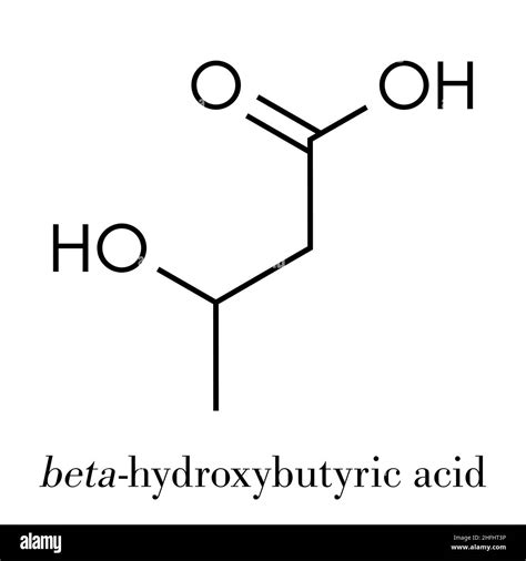 Beta Hydroxybutyric Acid Beta Hydroxybutyrate Molecule Skeletal