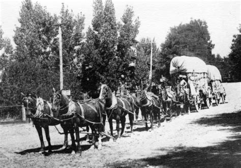 Freight Wagons Notes