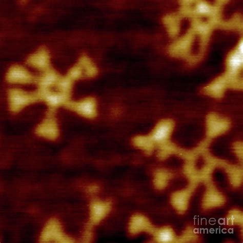 Rna Nanostructures Photograph By National Cancer Instituteuniversity