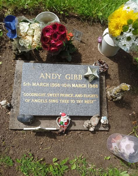 Andy Gibb 1958 1988 Find A Grave Memorial
