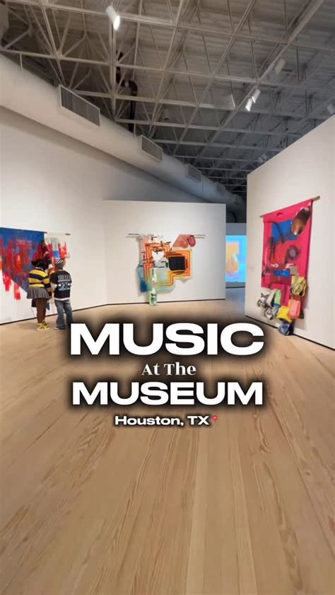 Houston Art Museum Collection