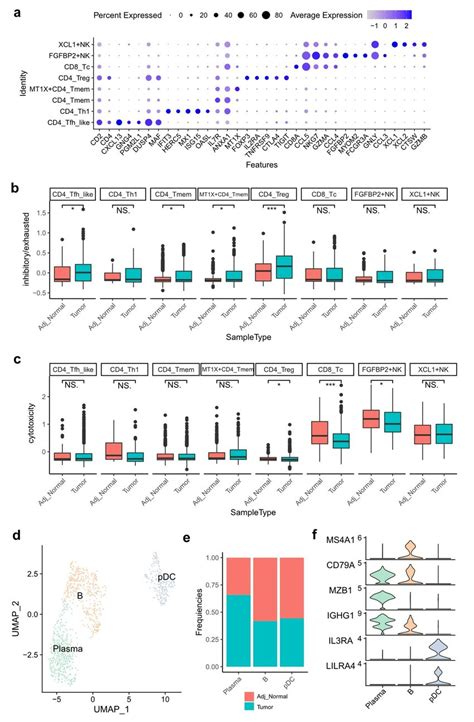 Fig S2 Cell Subgroups Of Tnk Cells And Bplasma Cells A Dot Plot