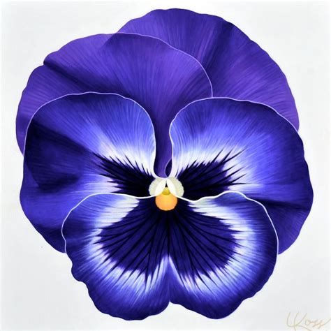 Pansy Paintings Canadian Artist Laurie Koss Pansies Art Beautiful