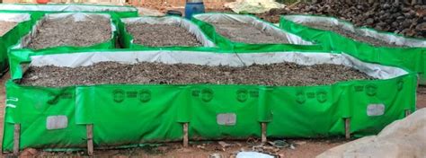 Transforming Waste Into Nutrient Rich Soil Welcome To Our Vermicompost