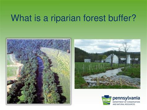 Ppt Conserving Penns Woods Multi Use Riparian Forest Buffer Initiative Powerpoint