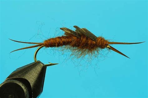 Stonefly Nymphs — Big Y Fly Co