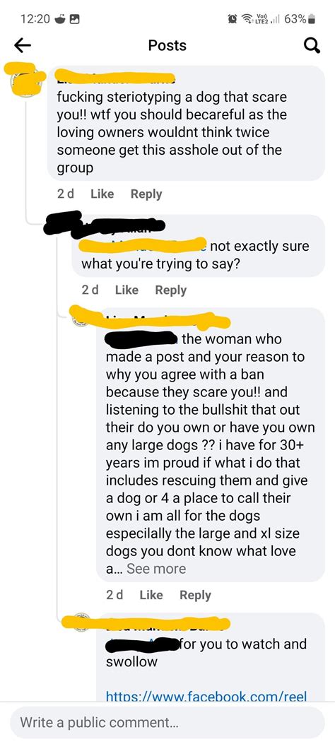 Highlights From My Time In An Xl Bully Group The Winner Lol R Banpitbulls