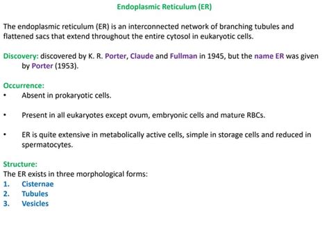 Structure And Functions Of Endoplasmic Reticulum Pptx