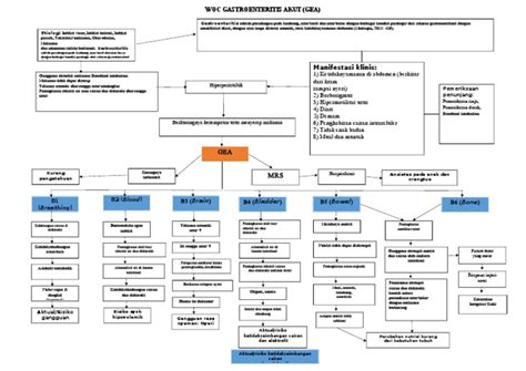 Woc Gastroenteritis Akut Pdf