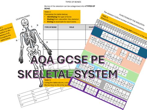 Aqa Gcse Pe Skeletal System Wordbook Teaching Resources