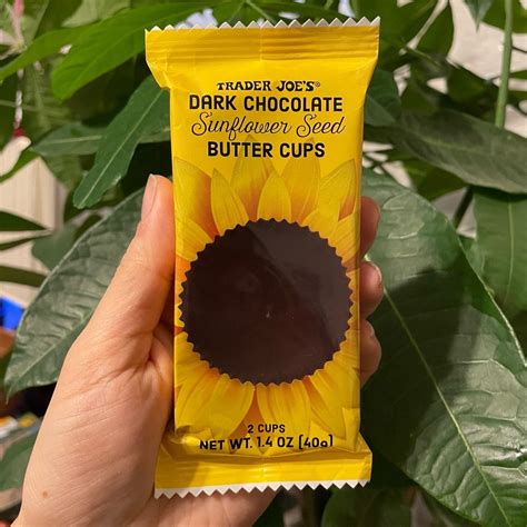 Trader Joe's Dark Chocolate Sunflower Seed Butter Cups Reviews | abillion