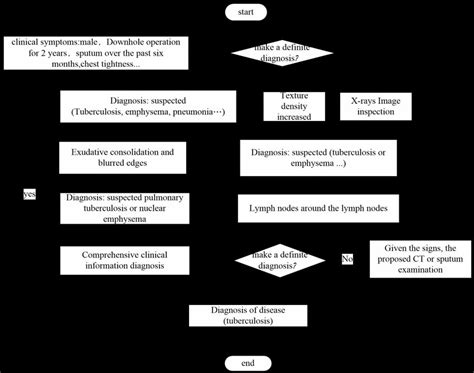 Flow Chart Of Diagnostic Tasks For Pulmonary Tuberculosis Download Scientific Diagram
