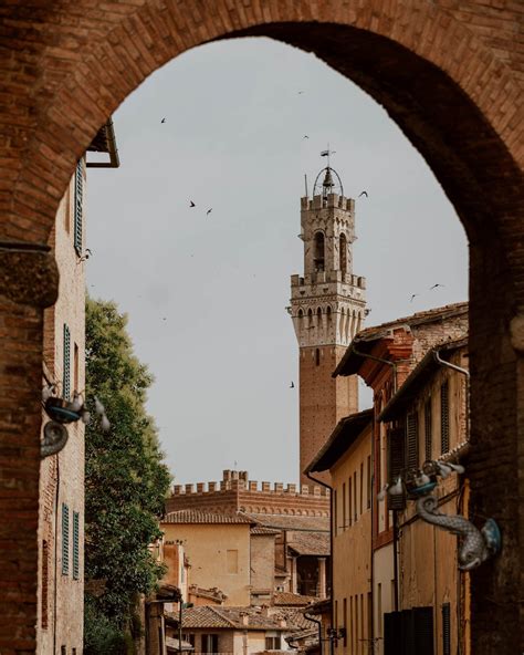 13 Wonderful Things To Do In Siena Italy The Medieval Masterpiece