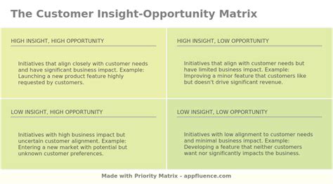 Customer Insight Opportunity Matrix Free Download