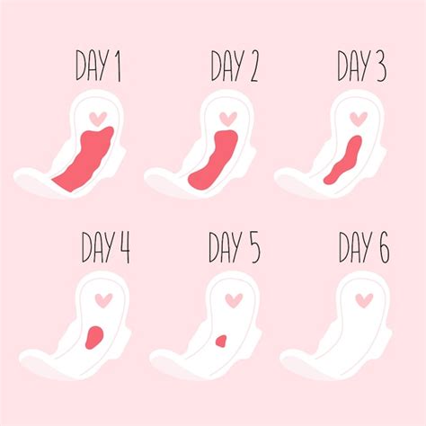 Bleeding Menstrual Cycle Pictures