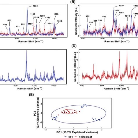 Differentiation Of 4t1 Breast Cancer Exosomes From Fibroblast Exosomes