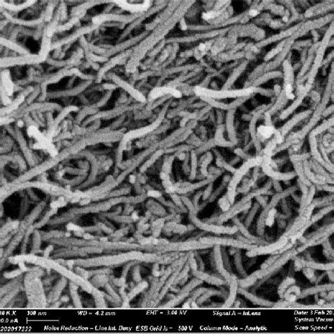 A Sample Holder Containing Specimens B X Band Waveguide Assembly With