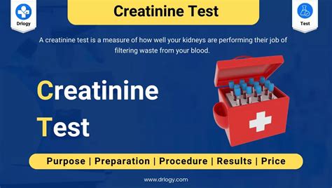 Creatinine Test Price Normal Range And Results Drlogy