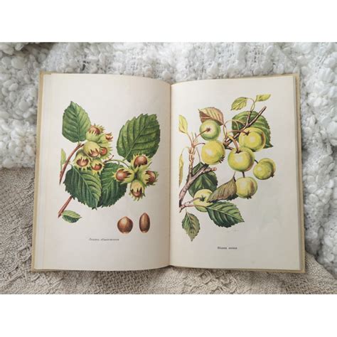 Vintage Plants Trees Shrubs Handbook Botanical Reference Inspire