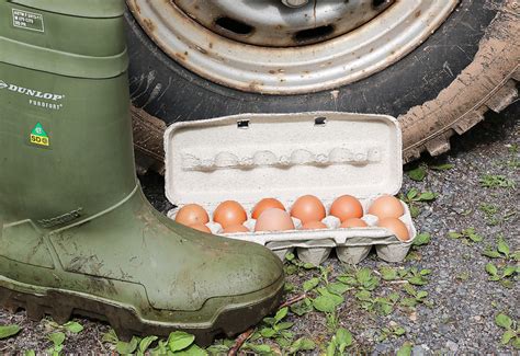 Muddy Truck Tire Crushes Eggs Image 1261557 Thisvid Tube
