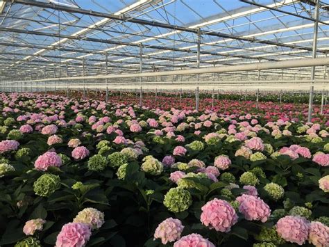 Thomas Van Dusseldorp Posted On Linkedin