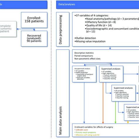 Flow Chart Showing The Number Of Patients And Data Analysis Steps