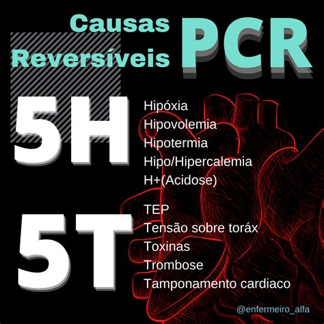 Causas De Pcr 5h E 5t Retoedu