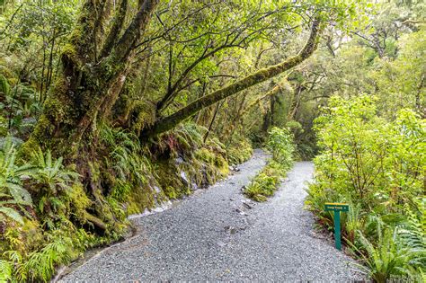 뉴질랜드 자동차 여행 09 캐즘chasm 트레일과 폭포