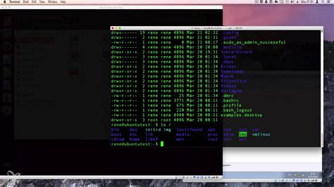 Comando Ls En Linux Mostrar Contenidos De Directorios De Manera Eficiente