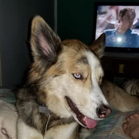 James Leduc Yourschoolsnext Youtube