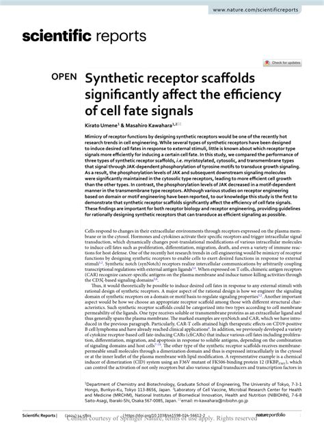 Pdf Synthetic Receptor Scaffolds Significantly Affect The Efficiency