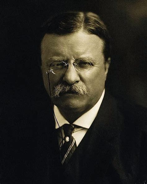President Theodore Roosevelt 1913 Portrait Style A 24x36 Inch