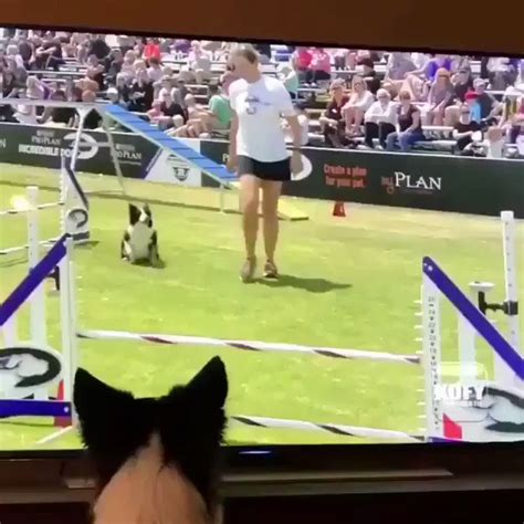 Florencio Paz Pazfloren Twitter