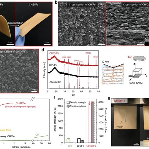 Structuralized Composite Hydrogel A Photograph Showing The Download Scientific Diagram