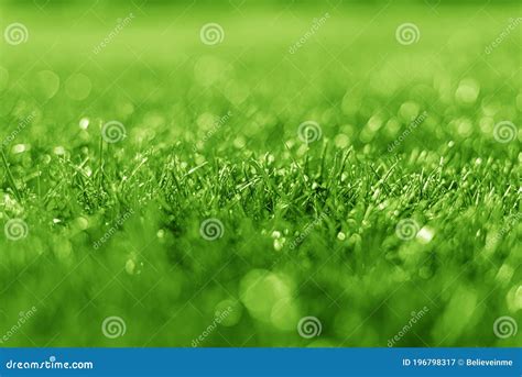 Grass And Bokeh Effect Green Grass As An Abstract Background Stock Image Image Of Meadow