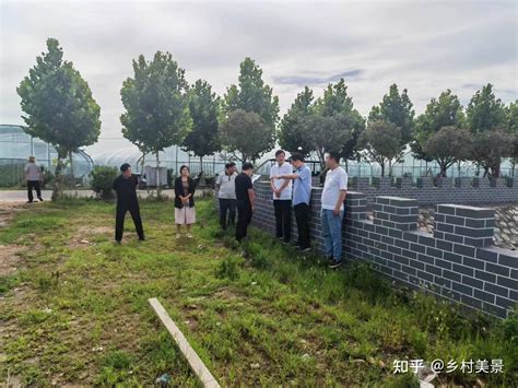 方城县独树镇：市乡村振兴局到扳井村检查扶贫项目建设情况 知乎