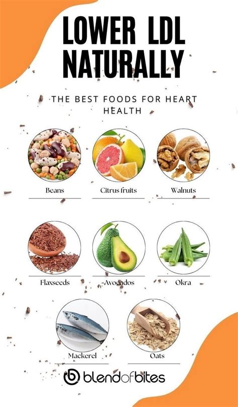 Foods To Help Lower Ldl ‘bad Cholesterol Blend Of Bites