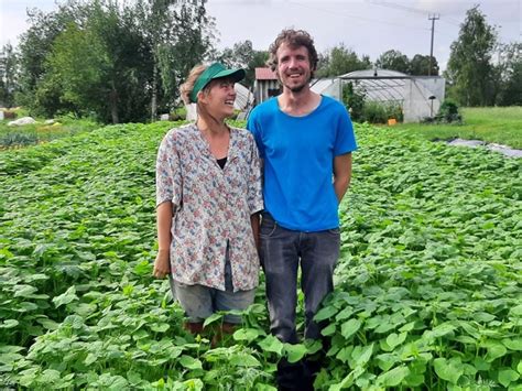 Miniserie Film 3 Frilund Gård Markedshager Norge