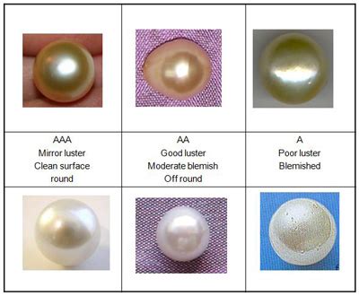 Shopping For Pearls Mitzi Howard